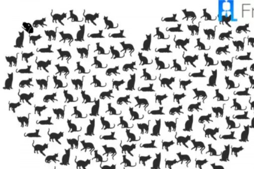 Optical Illusion: Can You Spot the Odd Animal Out in This Picture? - News18