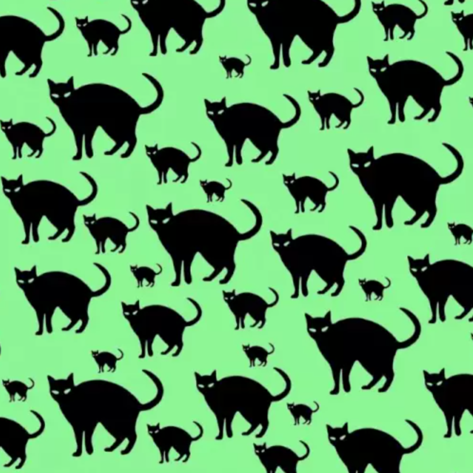 Spot Hidden Mouse Among The Cats in This Optical Illusion Within 9 ...