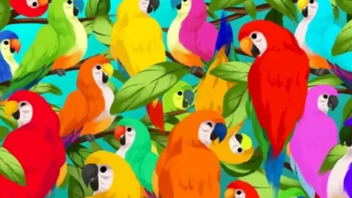 Optical Illusion Challenge: Can You Spot The Chameleon in This Visual ...