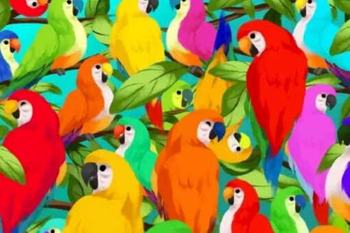 Optical Illusion Challenge: Can You Spot The Chameleon in This Visual ...