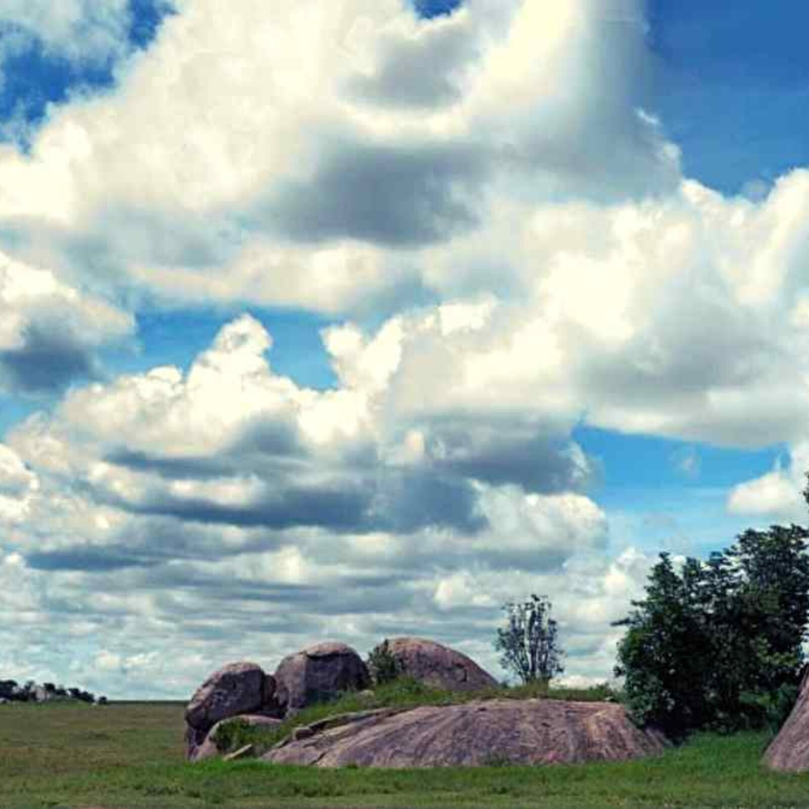 Optical Illusion: Can You Spot The Lion in This Serene Landscape Photo?