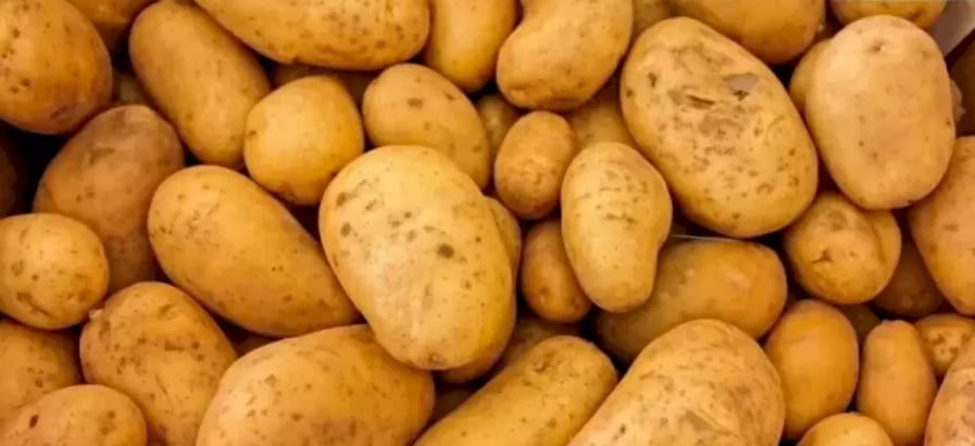 Optical Illusion: Can You Spot The Hidden Needle Among Potatoes Within ...