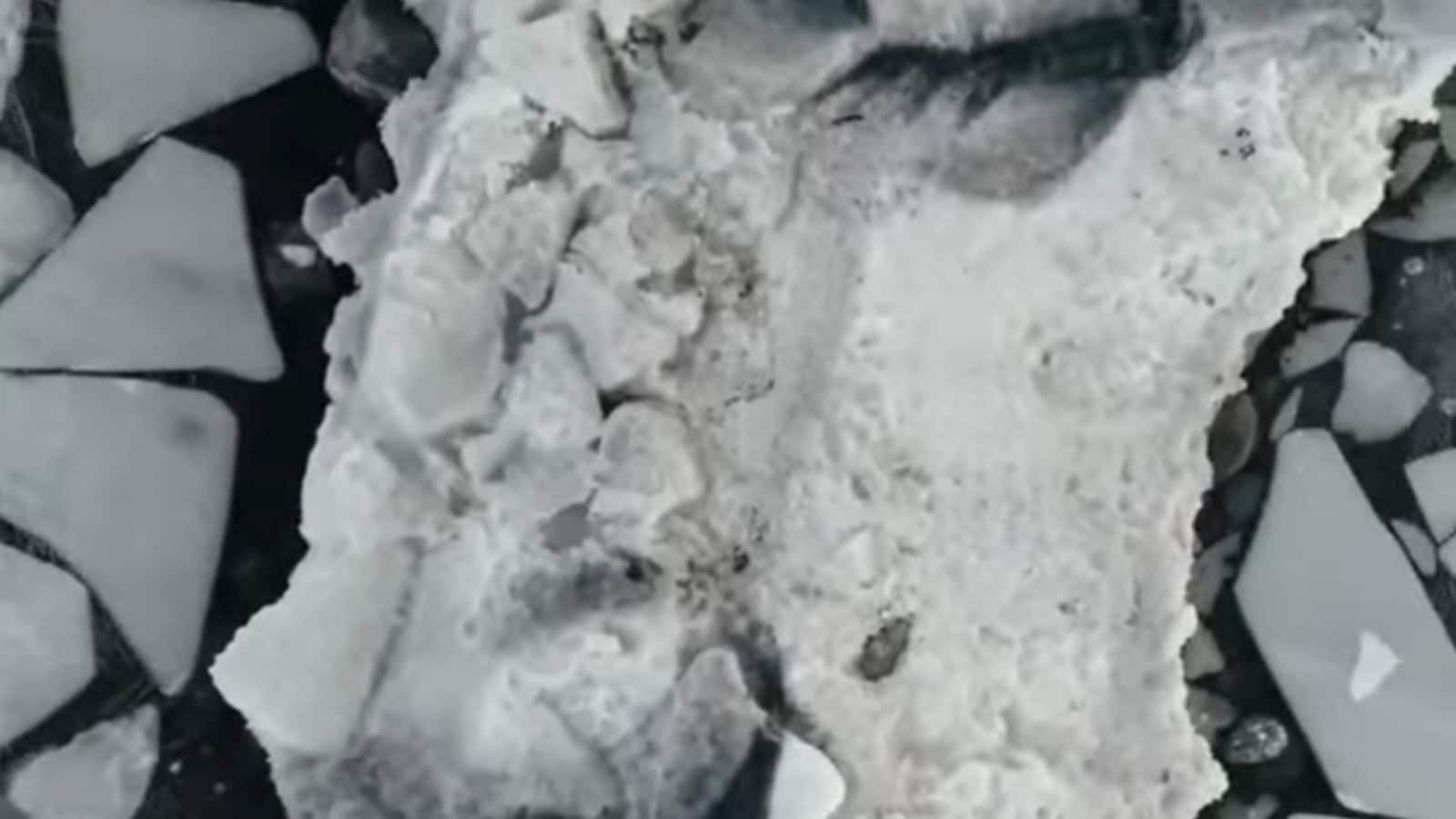WATCH: Artist Paints Portraits on Ice Blocks in Freezing Temperatures ...