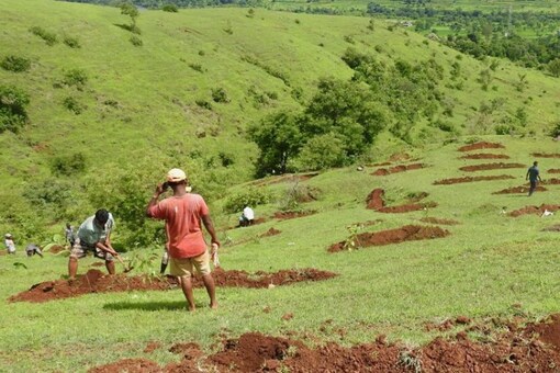 Maharashtra Village Takes Afforestation up a Notch - News18