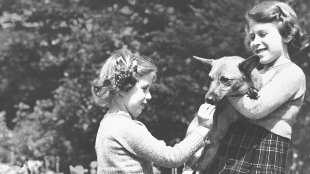 Queen Elizabeth II and Her Corgis: What the Royal Canine Family Tree ...