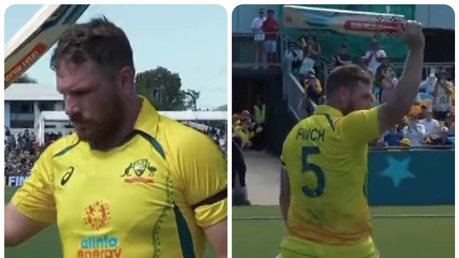 AUS v NZ: Aaron Finch Gets Standing Ovation from Crowd As He Walks Off ...