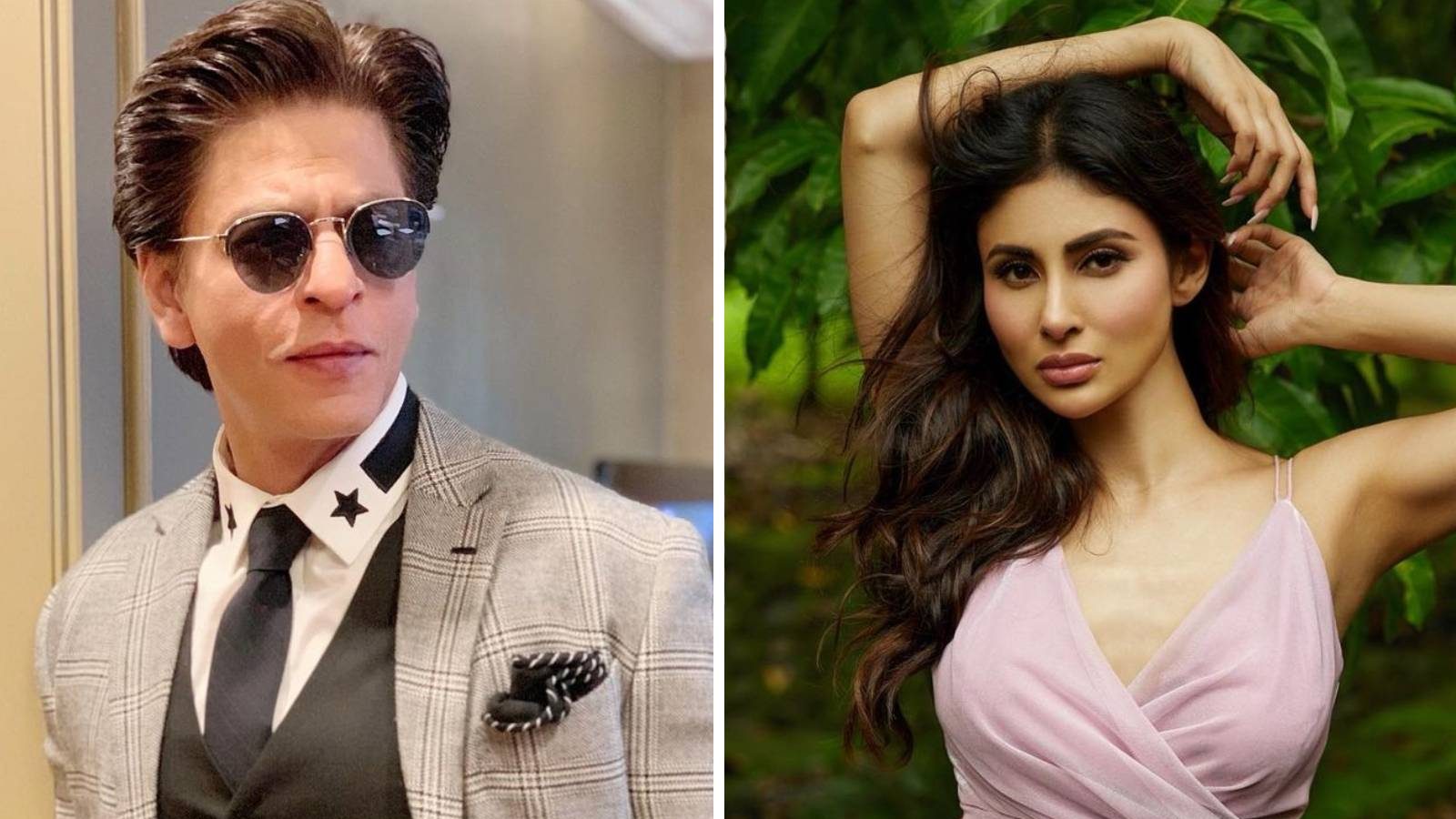 Shah Rukh Khan, Mouni Roy, Vidya Balan, Ayushmann Khurrana Among Bollywood Actors Who Had Their ...