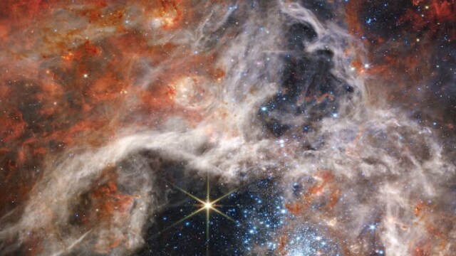 Nebulosa Tarantula Hd Overabundance Of Massive Stars In The Tarantula