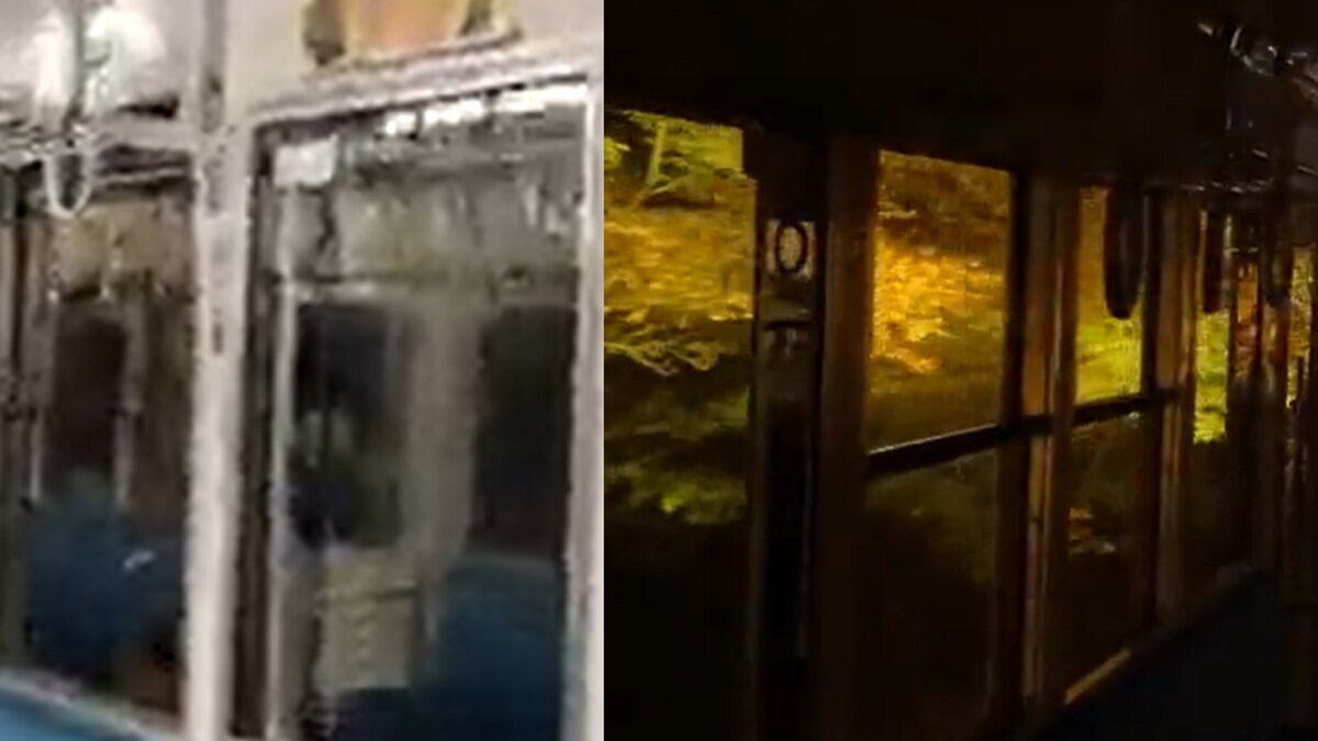 WATCH: Train Ride Across Japan's 'Maple-leaf Tunnel' Stuns Internet ...