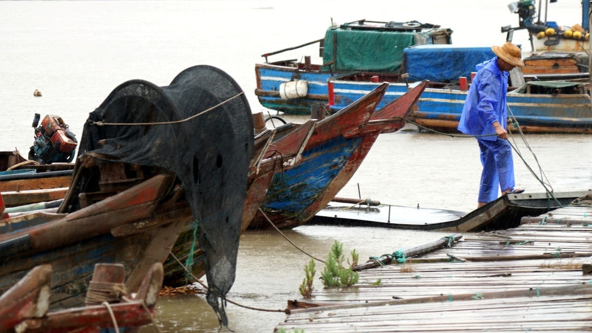 Typhoon Muifa Lashes Eastern China, 1.6 Million Forced to Flee Homes ...