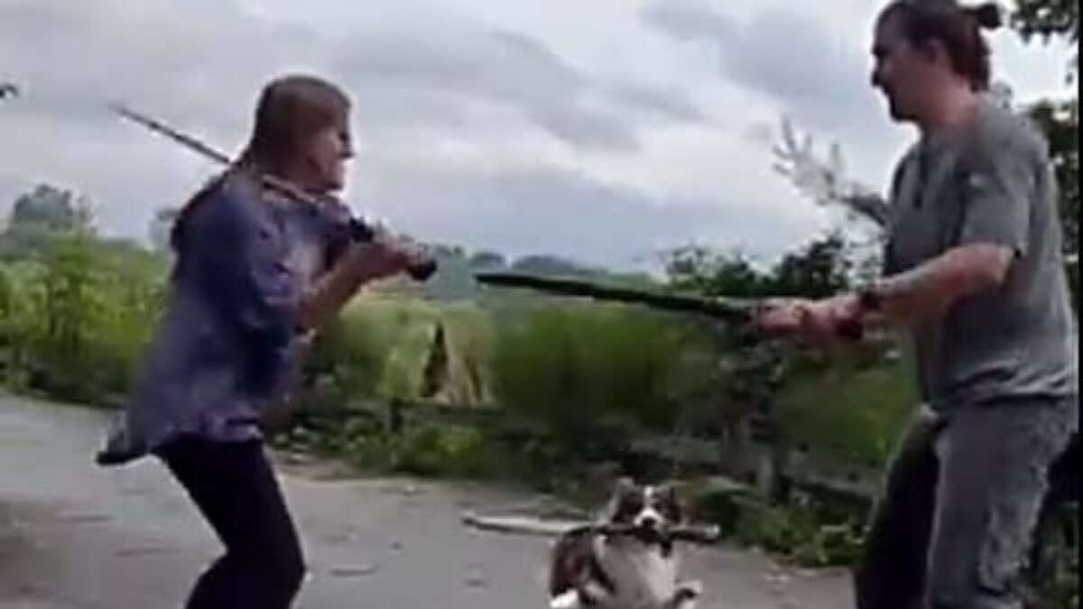 Video of Dog Preparing For Playful Sword Fight is Best Thing on ...