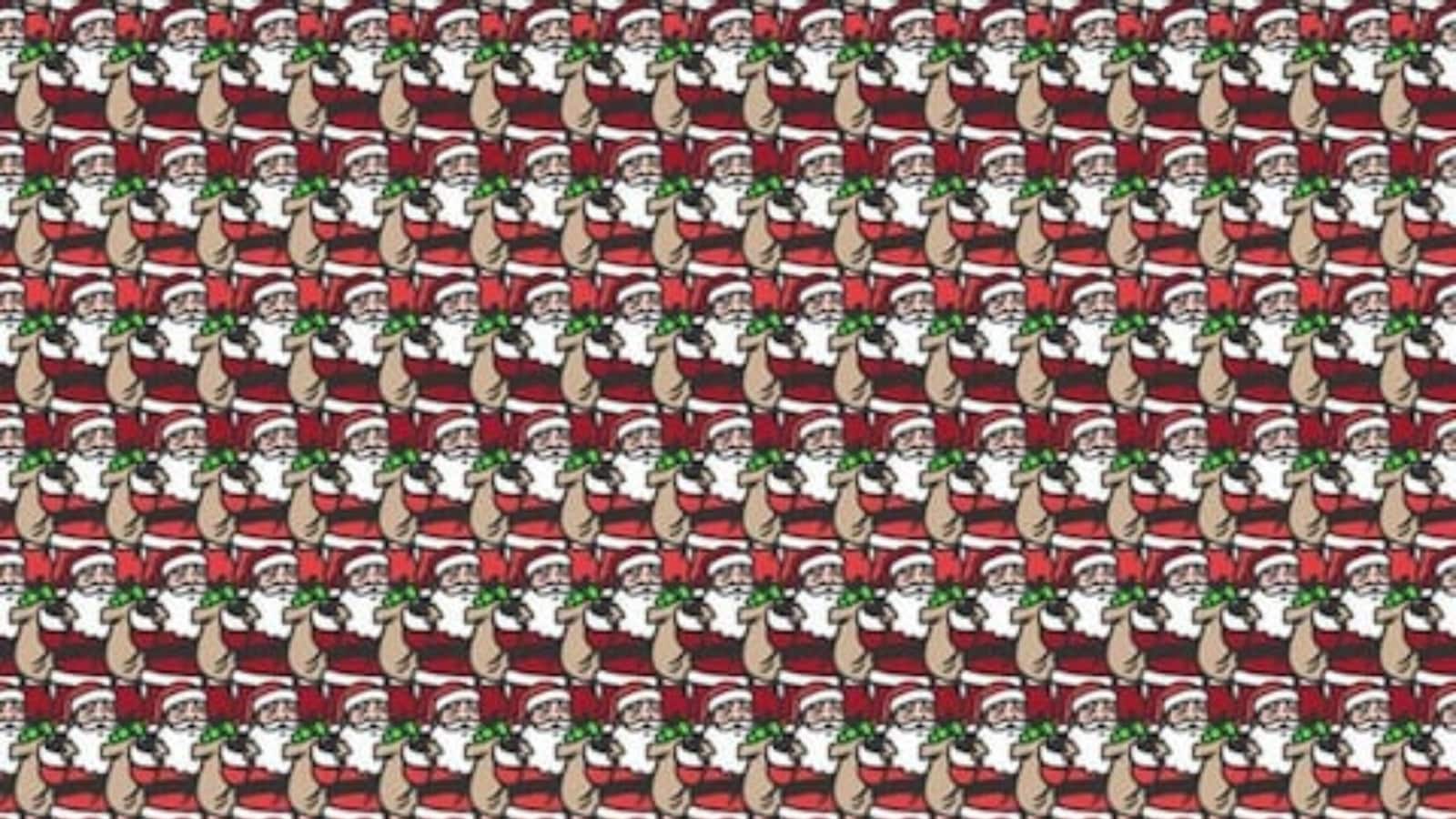 Optical Illusion: Find Hidden Santa Claus With The Heaviest Sack in ...