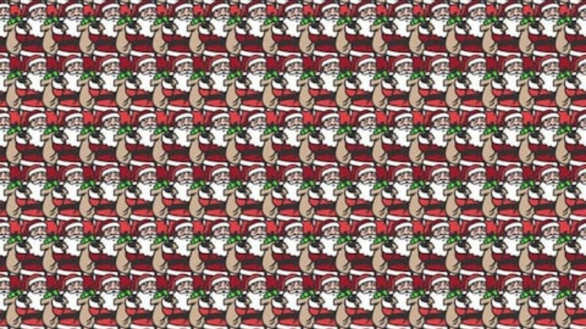 Optical Illusion: Find Hidden Santa Claus With The Heaviest Sack in ...
