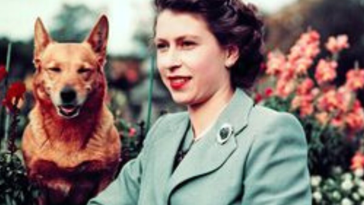 Here Is All That You Need To Know About Queen Elizabeth's Love For ...