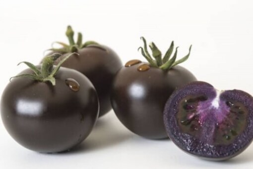 Purple Tomatoes With Greater Health Benefits Approved to Hit Markets ...