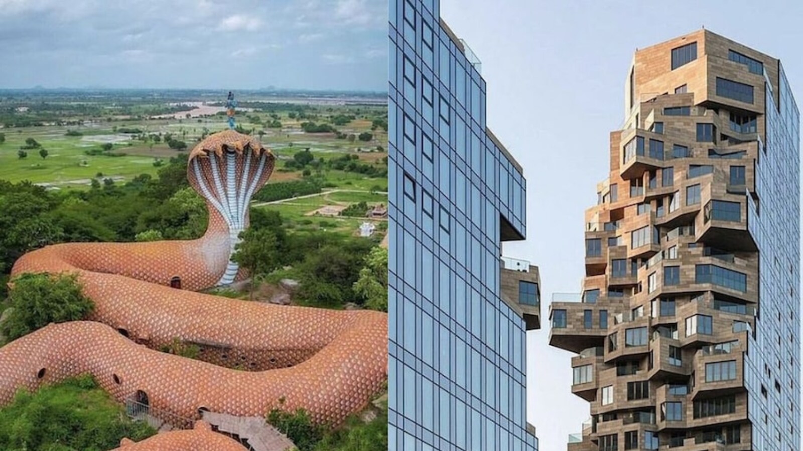 Italy's 25 Green to South Korea's Grasshopper Cafe, The Modern ...