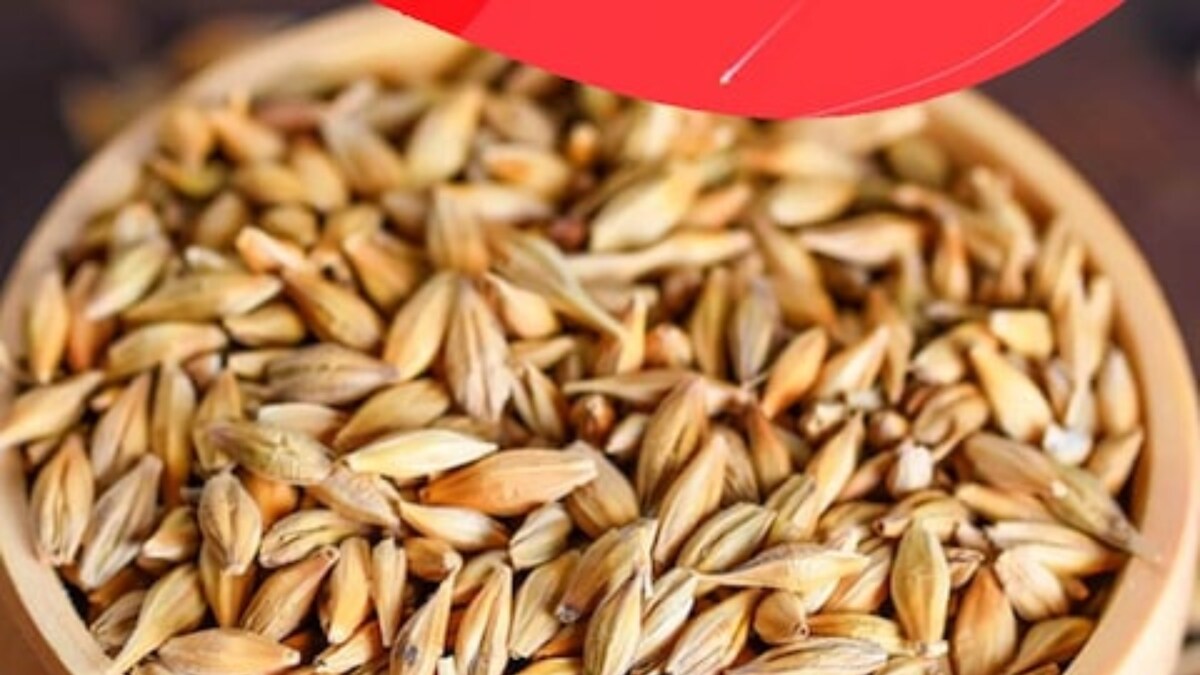 Know The History of Barley And Its Connection With Lord Brahma - News18