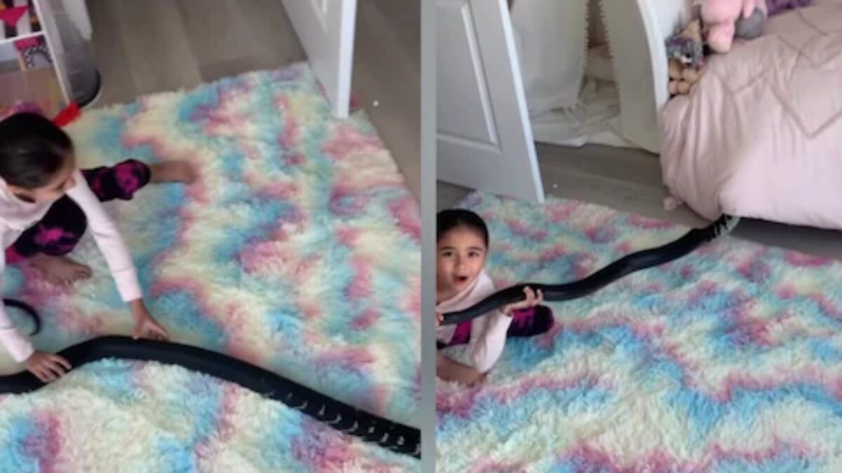 Watch: Girl Plays With a Carpet Python, Netizens Aren't Impressed - News18