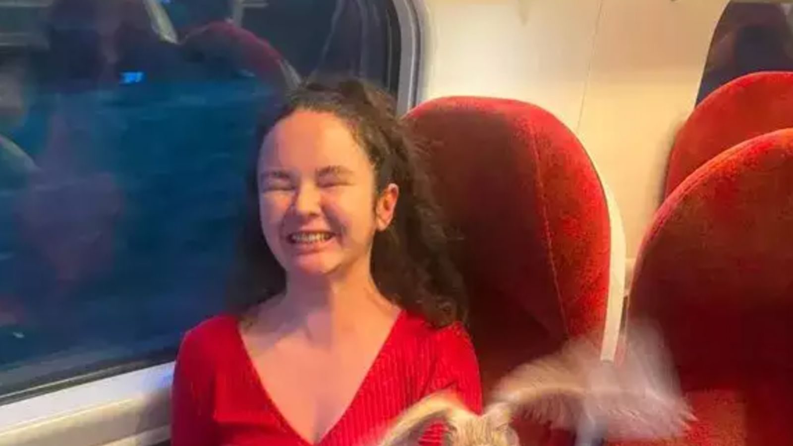 Woman Boards Train With Three Birds on Her Table, Passengers Baffled