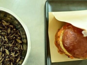 This Restaurant in Thailand Offers Crunchless Cricket Burgers - News18