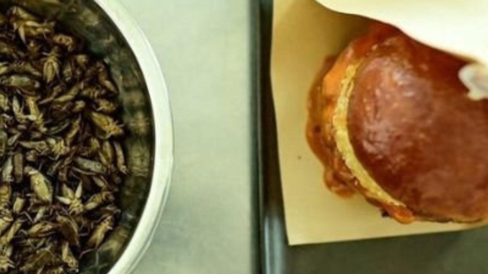 This Restaurant in Thailand Offers Crunchless Cricket Burgers | Buzz ...