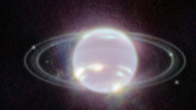 Neptune and its Rings Captured in All Their Glory by James Webb ...