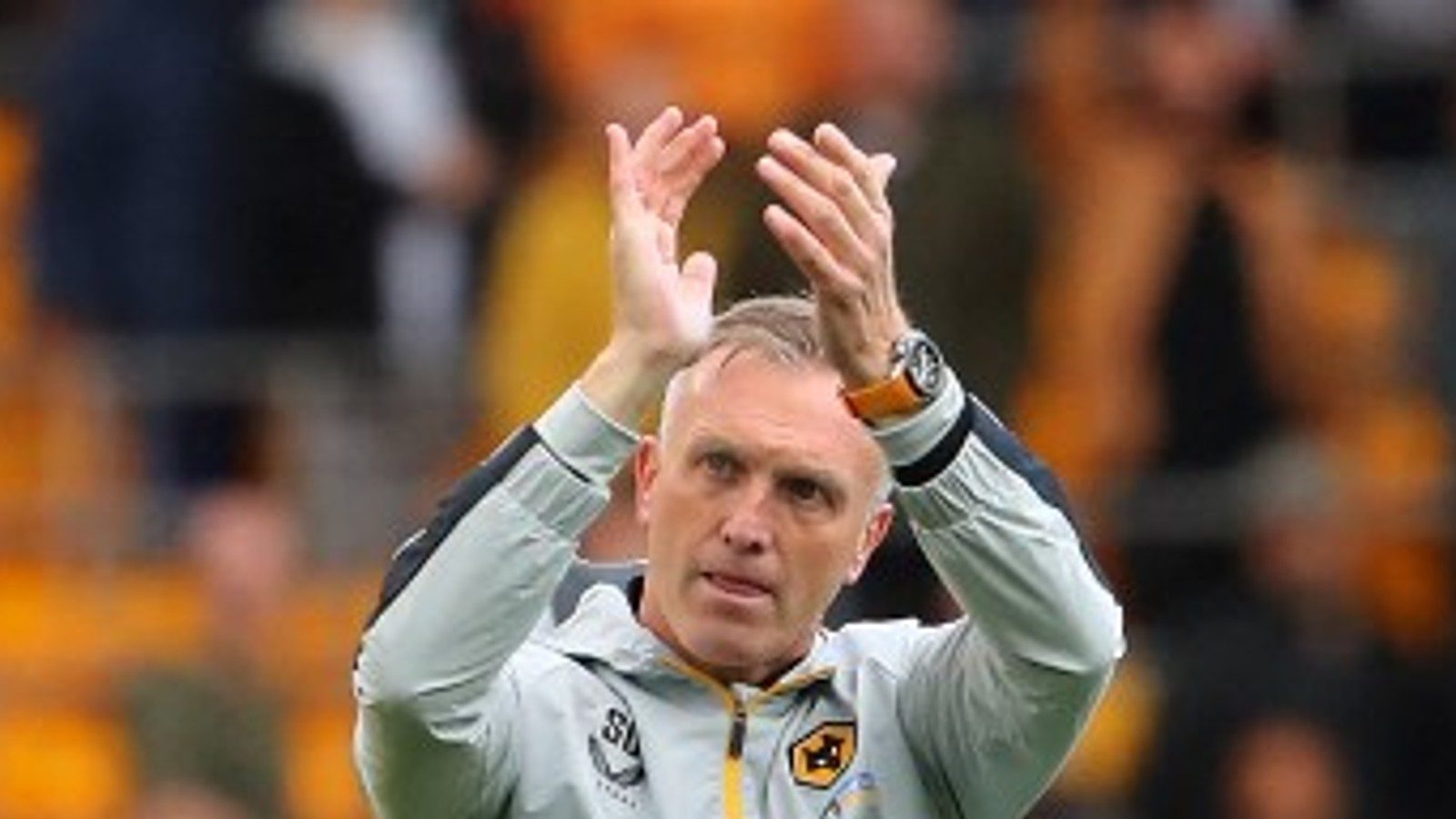 Wolves Interim Manager Steve Davis to Stay in Charge Until End of Year ...