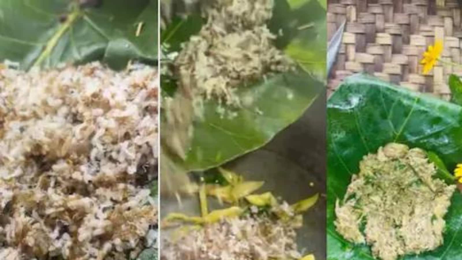 Watch: How The Red Ant Demta Chutney Is Prepared | Buzz News - News18