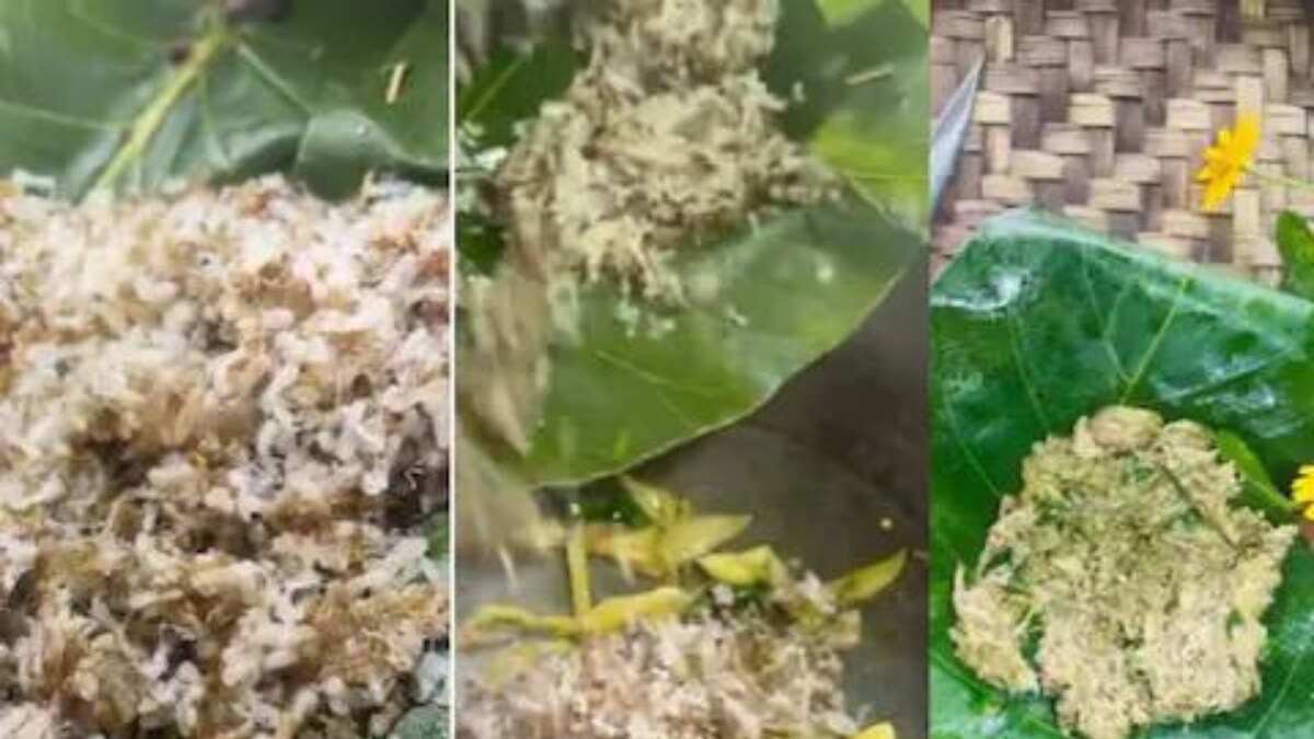 Watch: How The Red Ant Demta Chutney Is Prepared - News18