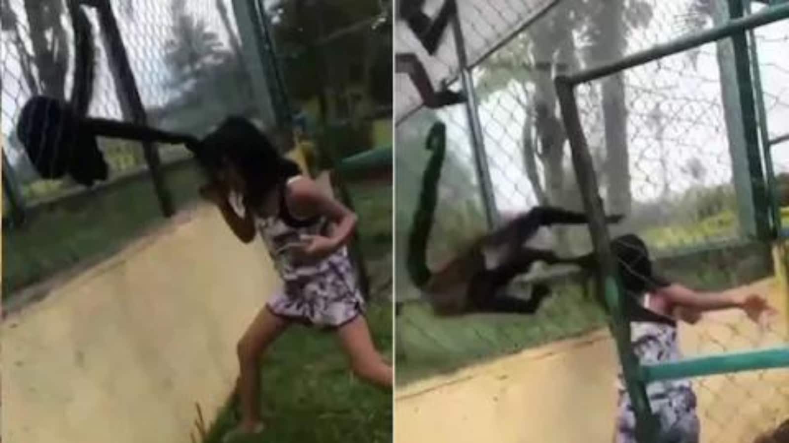 Watch: Spider Monkey Pulls Girl's Hair As She Tries To Capture Video ...