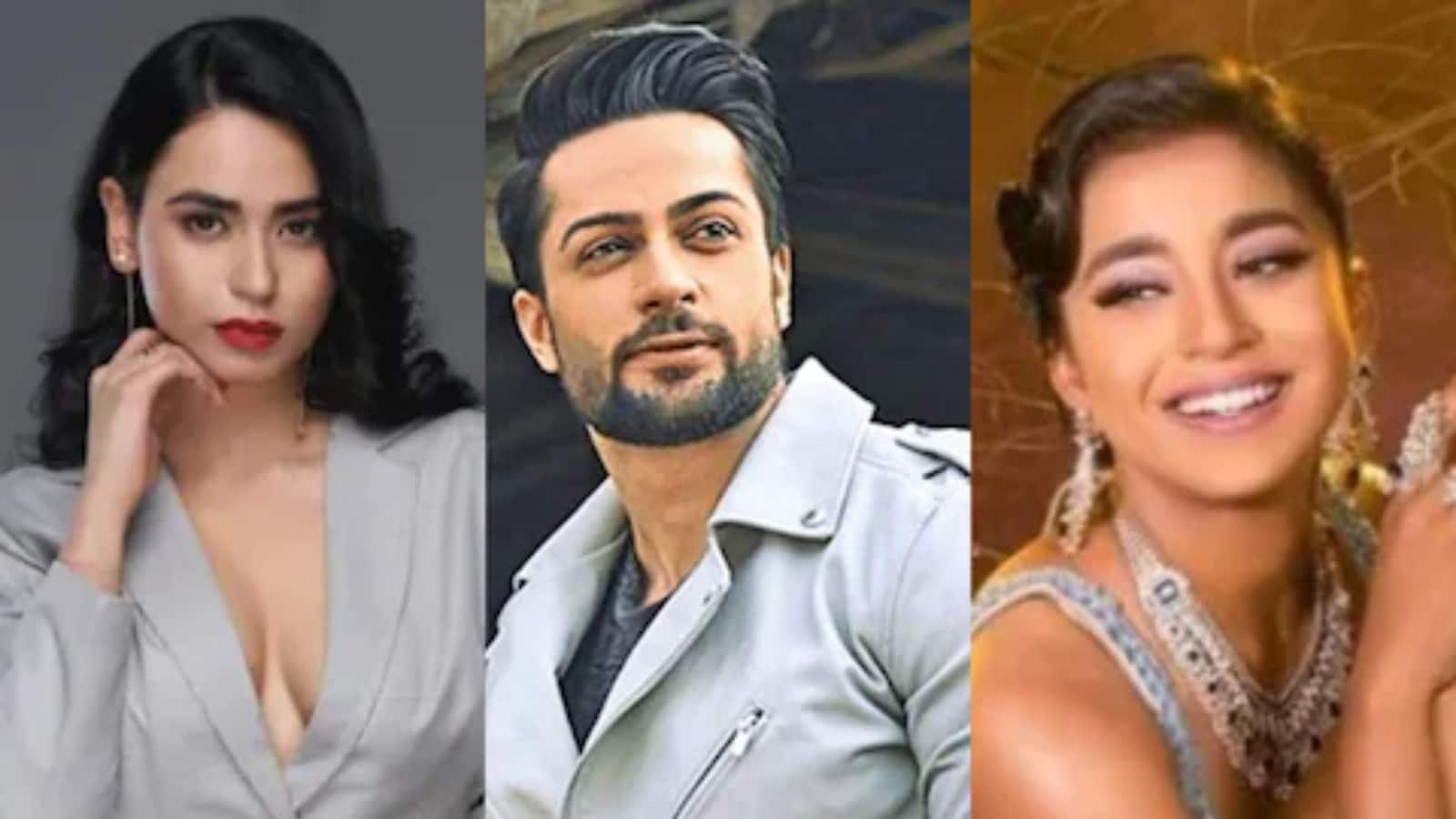 'Shaleen Crossed All Boundaries With Me And Sumbul': Soundarya Sharma ...