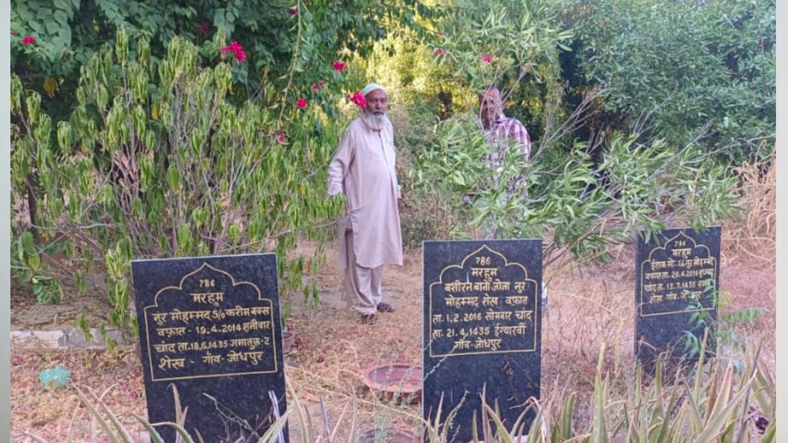 Over 2,000 Plants Cover This Cemetery in Barmer, Breathing Life ...