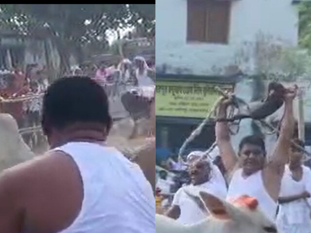 Yadav Community of Malda Celebrates Diwali With Boar Hunting And 'Lathi ...