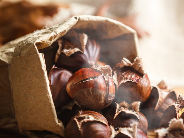 From Protection to Repair: Chestnuts are a Seasonal Treat With These ...