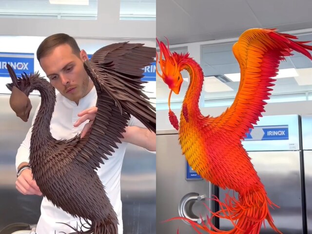 Pastry Chef's 'Chocolate Phoenix' With 2,000 Feathers Wows the Internet ...
