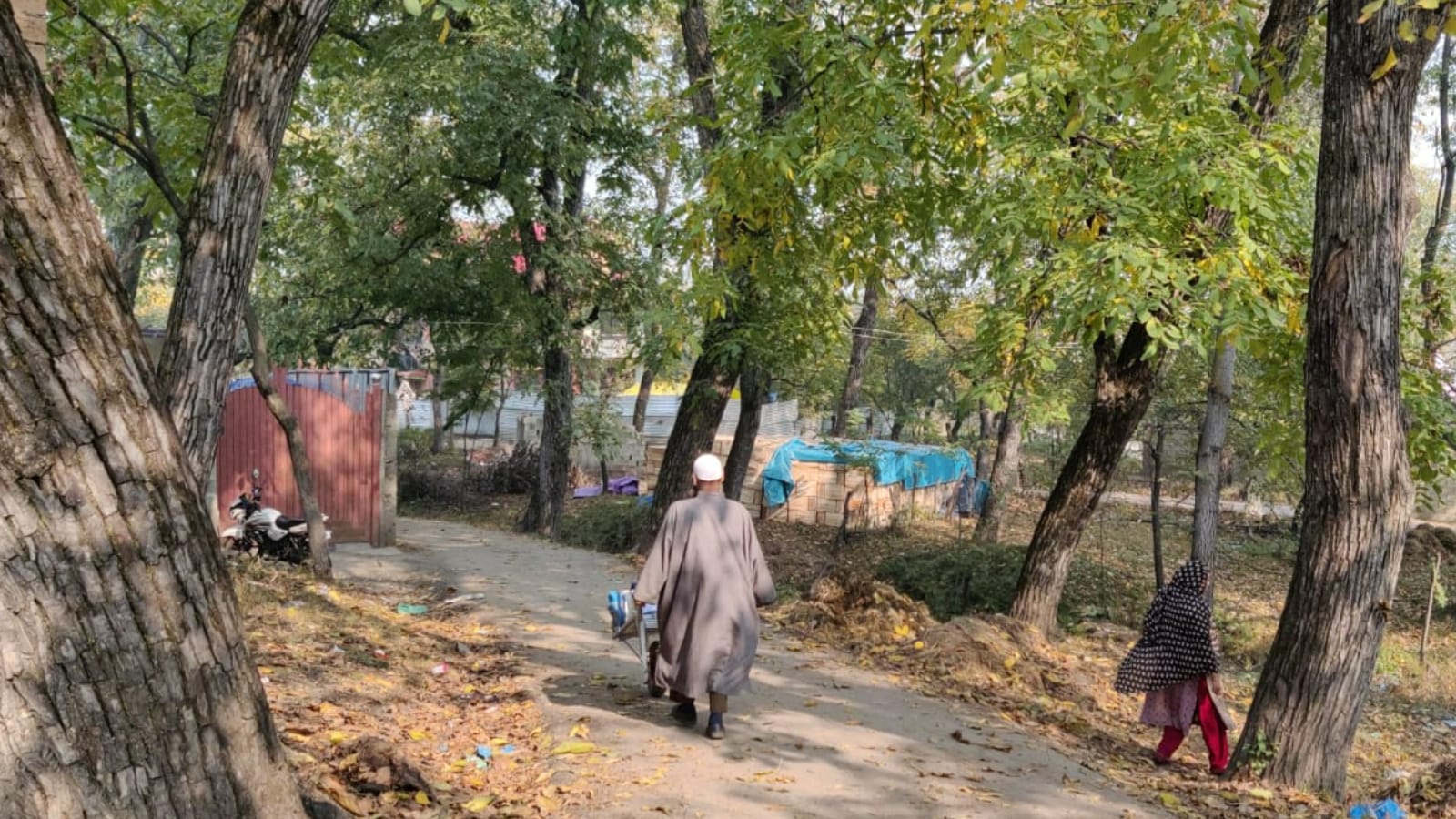 Abandoned Apple Cartons, Ruins of Resilience: Last Kashmiri Pandit ...