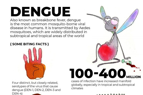 Dengue News: Latest Dengue News and Updates at News18