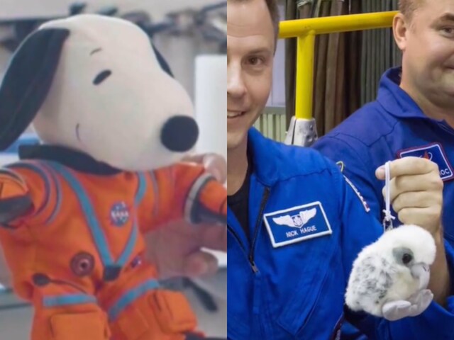 WATCH: NASA is Sending Snoopy to The Moon on Orion Spacecraft - News18