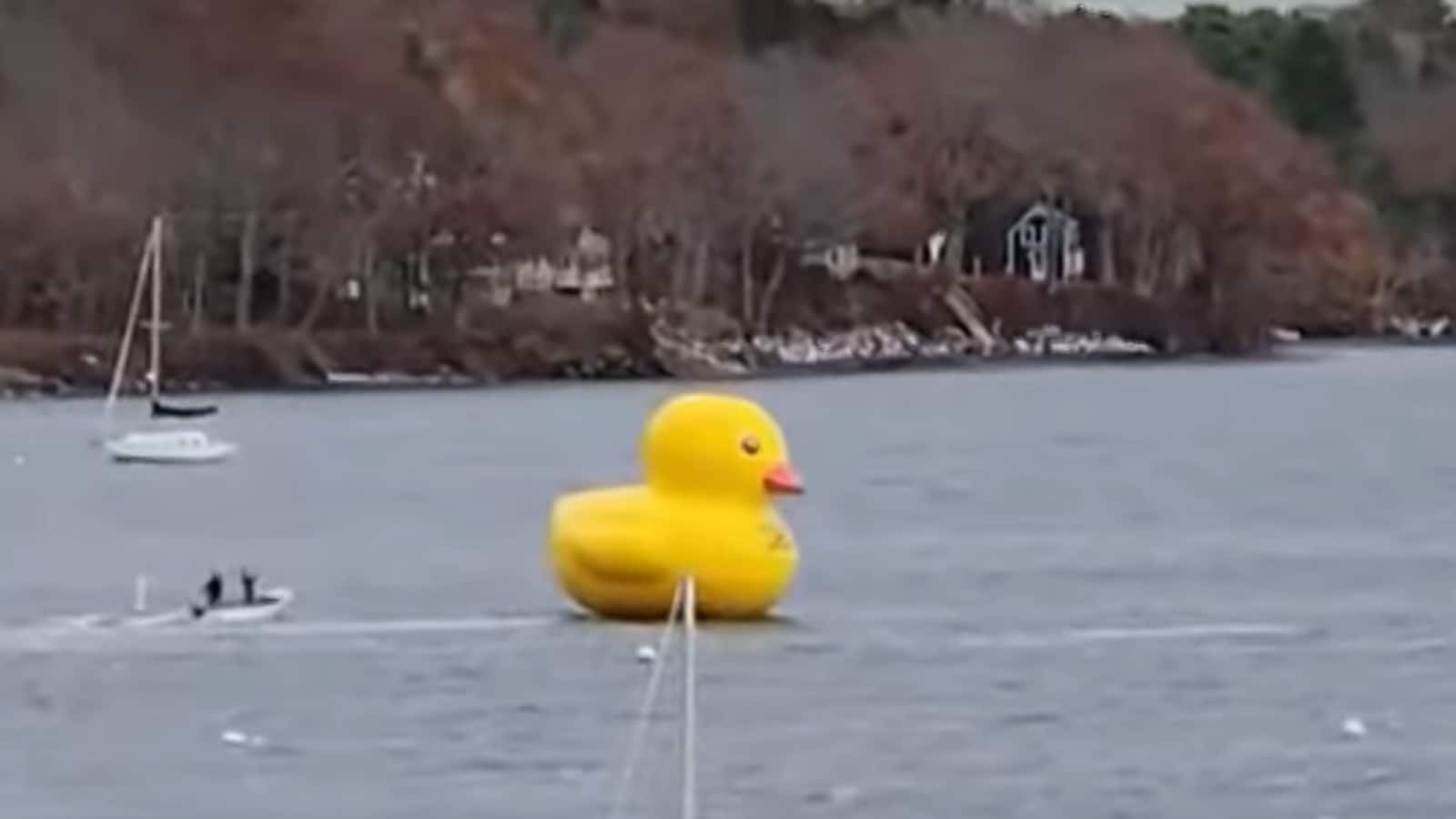WATCH: Officials Chase Mysterious Giant Inflatable Duck 'Greater Joy ...