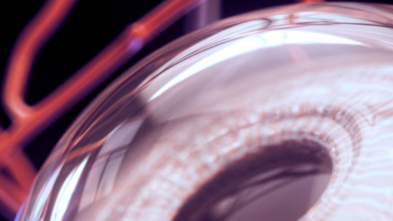 AI-enabled Eye Test May Help Predict Cardiovascular Disease | Buzz News ...