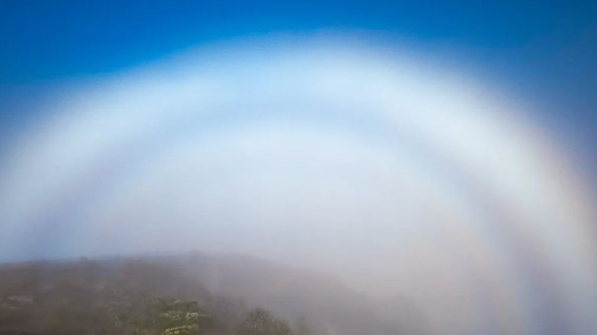 'Fogbow': Photographer Captures Rare 'Colourless Rainbow' in Misty San ...
