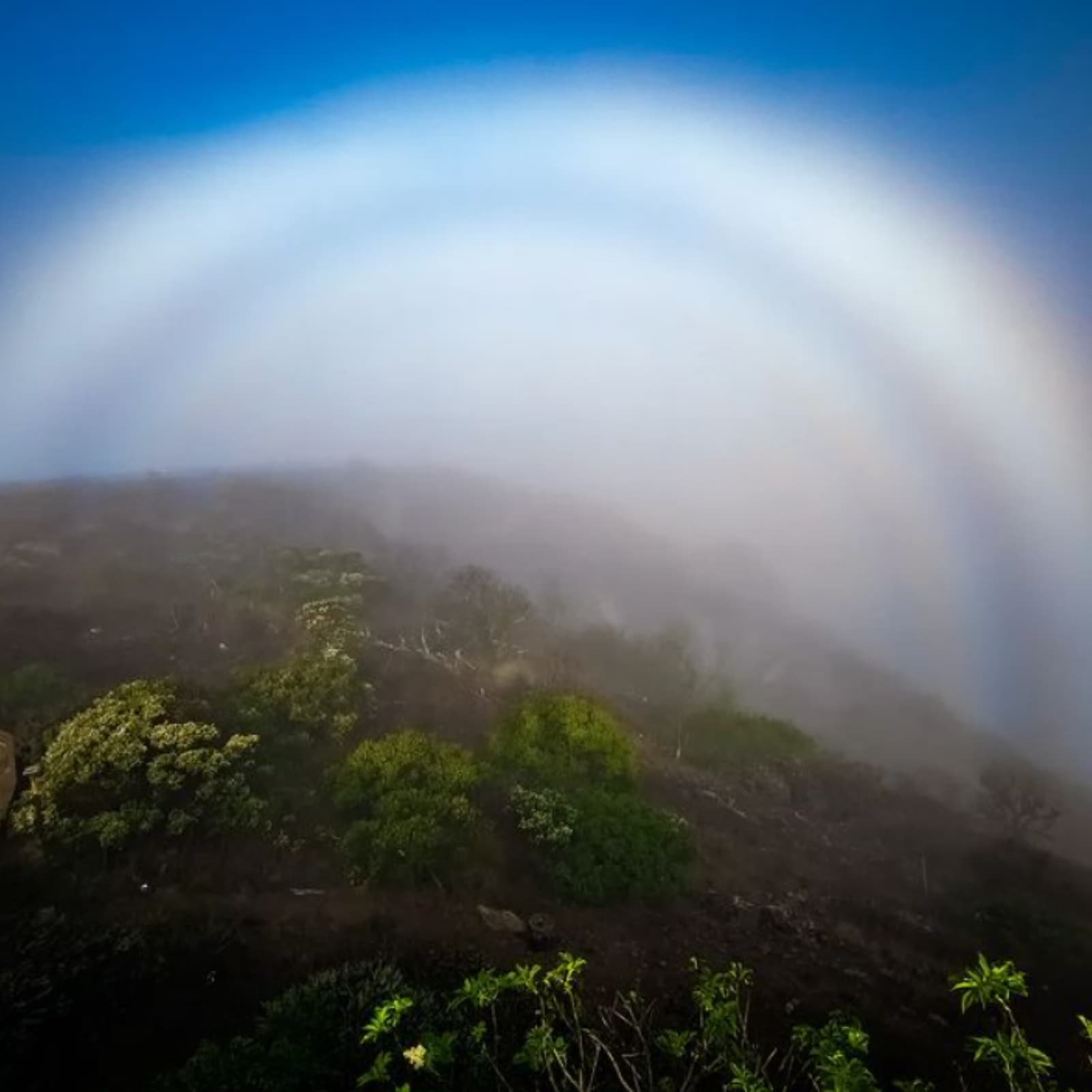 'Fogbow': Photographer Captures Rare 'Colourless Rainbow' in Misty San ...