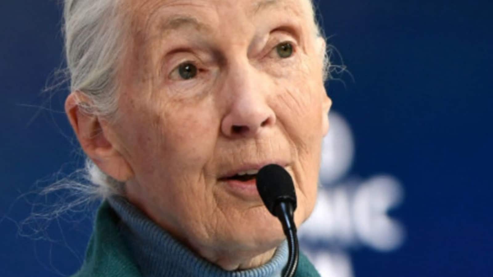 Earth's Climate at 'Point of No Return', Says Primatologist Goodall ...