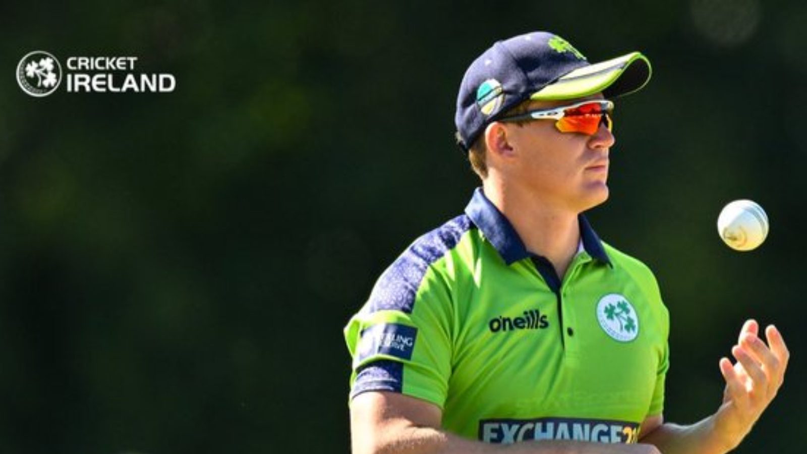 T20 World Cup 2022: Ireland Replace Injured Craig Young With Graham ...