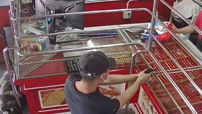 Guard Dog Caught Napping During Staged Robbery at Jewellery Store in ...