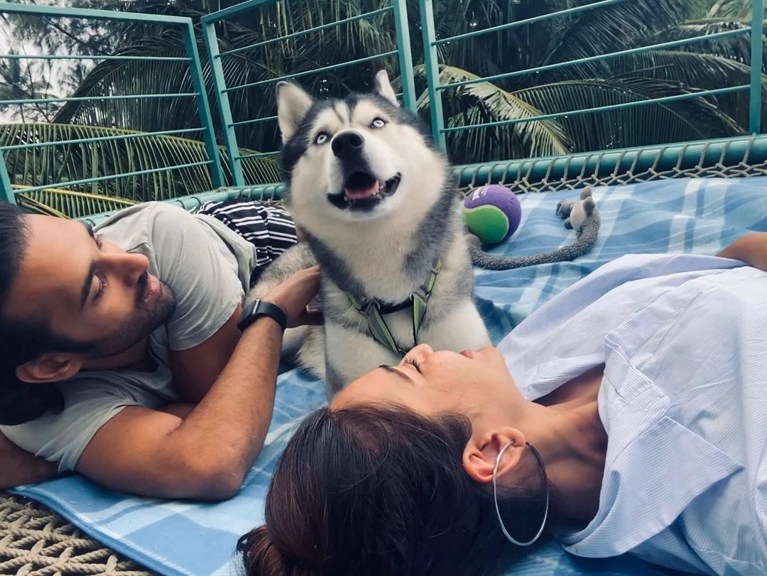 Happy Birthday Kriti Kharbanda: Actress Adorable Moments with Beau ...