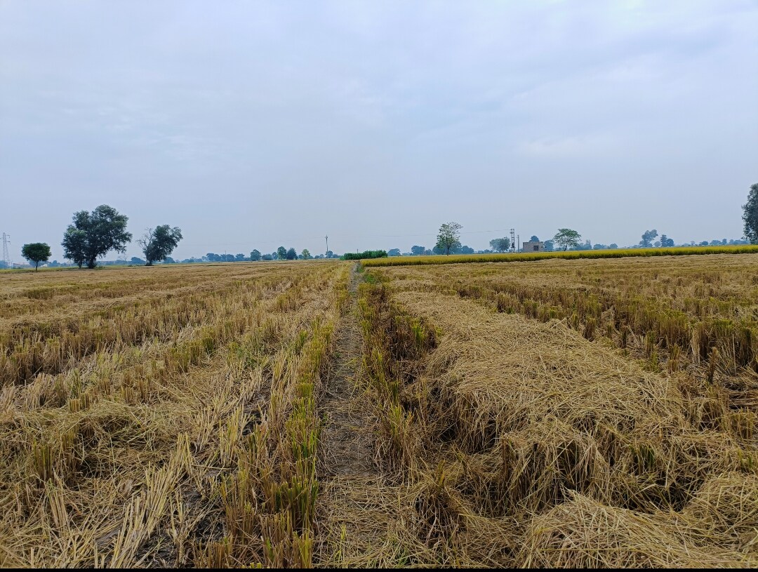 Capital Chokehold | 'How Can We Set Fire to Field That Feeds Us?' In ...