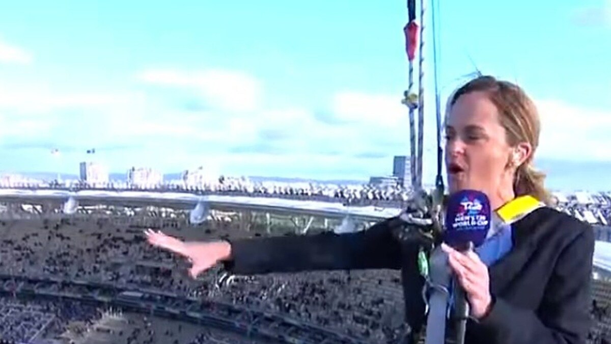 T20I World Cup: Commentary From the Clouds, Bird's Eye View at the ...