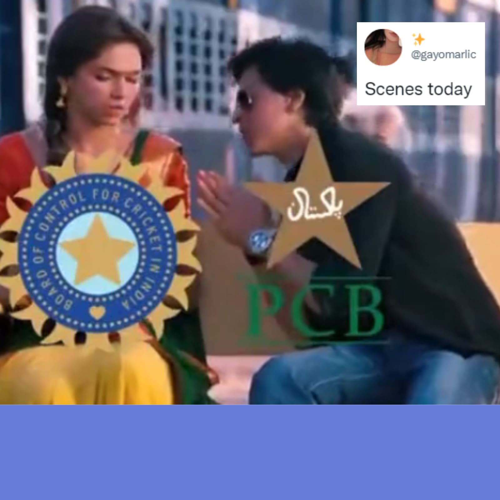 South Perth Memes T20 WC Hilarious Memes Bye Bye Pakistan Trend On