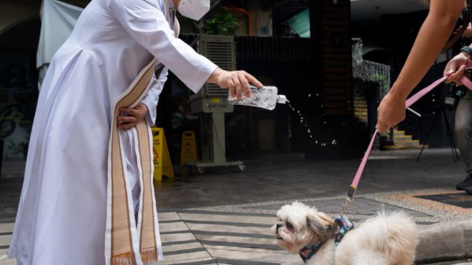 Pet Weddings Highlight Animal Blessing Ceremony to Mark World Animal ...
